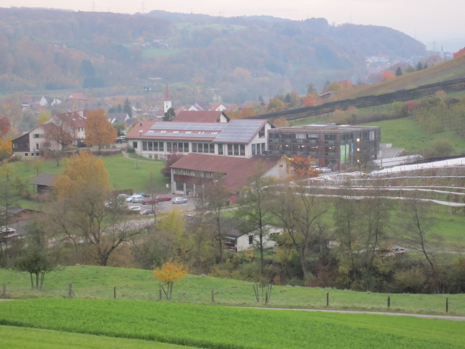 Agroforestry 2011 Nuffield Scholar: Fibl Switzerland - Frick