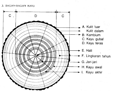 Referensi material bahan bangunan: struktur kayu