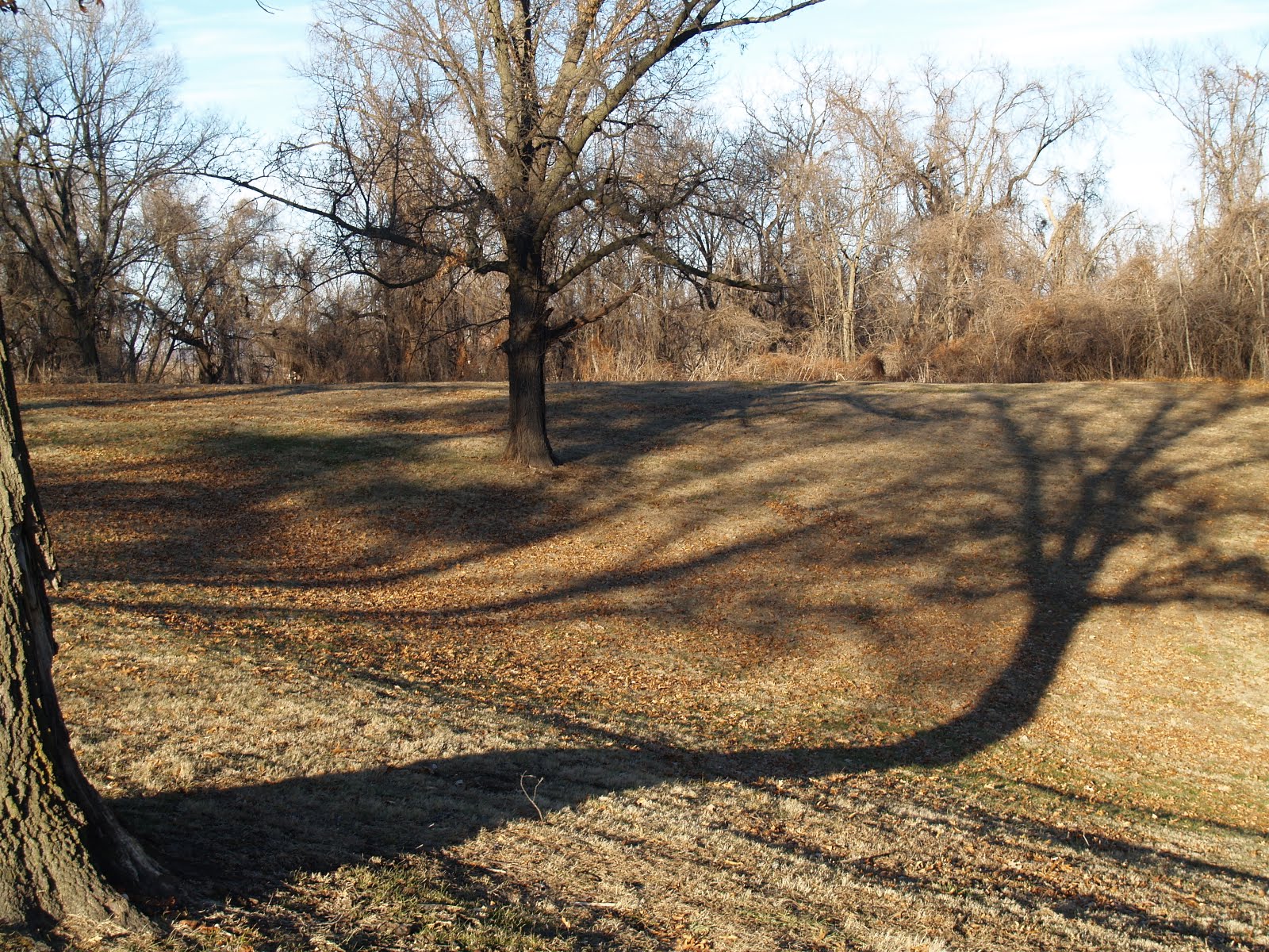 Red Moon Cafe: That Winter Without Snow