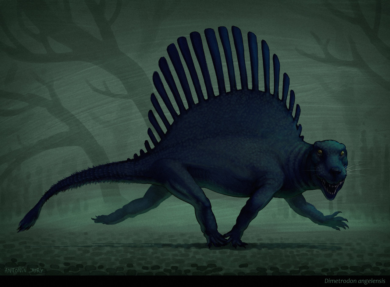 Palaeos, la historia de la Vida en la Tierra: ¿Tiene el Dimetrodon una ...