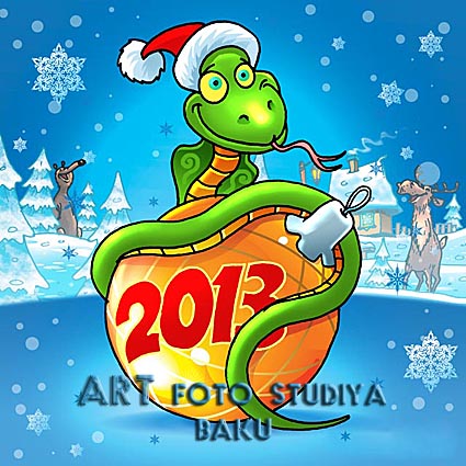 "ART FOTO STUDİYA" BAKU: "Yeni il sekilleri" 2013 və "31 dekabr"