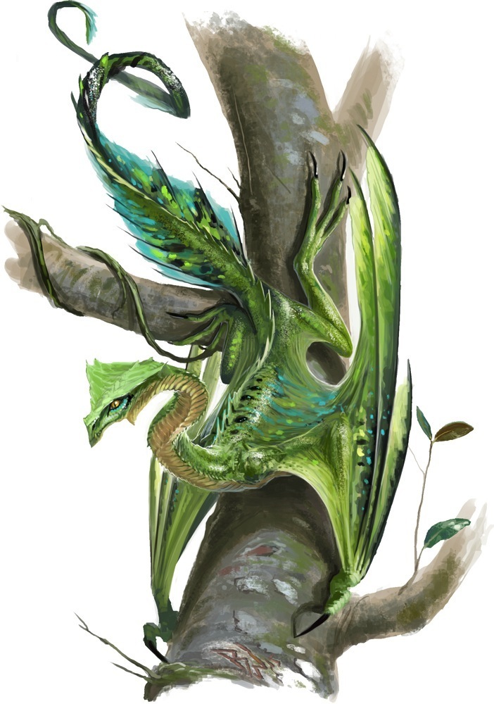 The Daily Bestiary: Jungle Drake