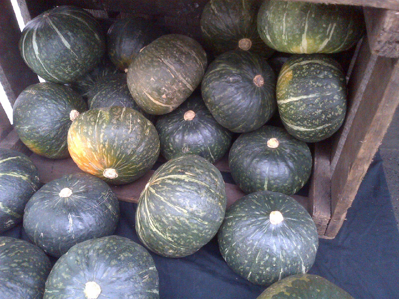 The Produce Savant: Choose the Kabocha