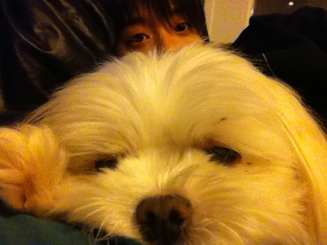 f(x) | 에프엑스 | V1