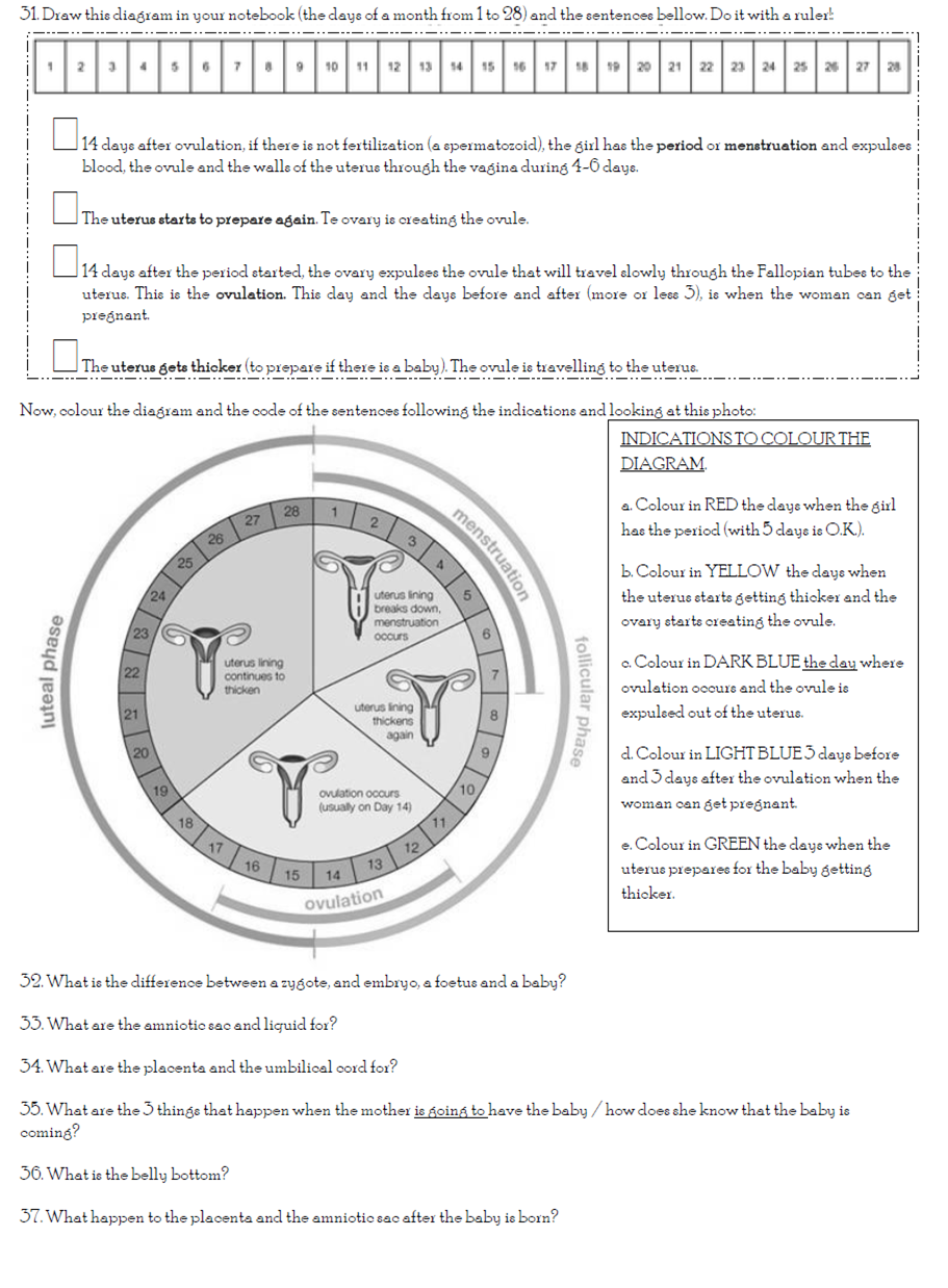 Natural Science 6 grade: 6. REPRODUCTIVE SYSTEM