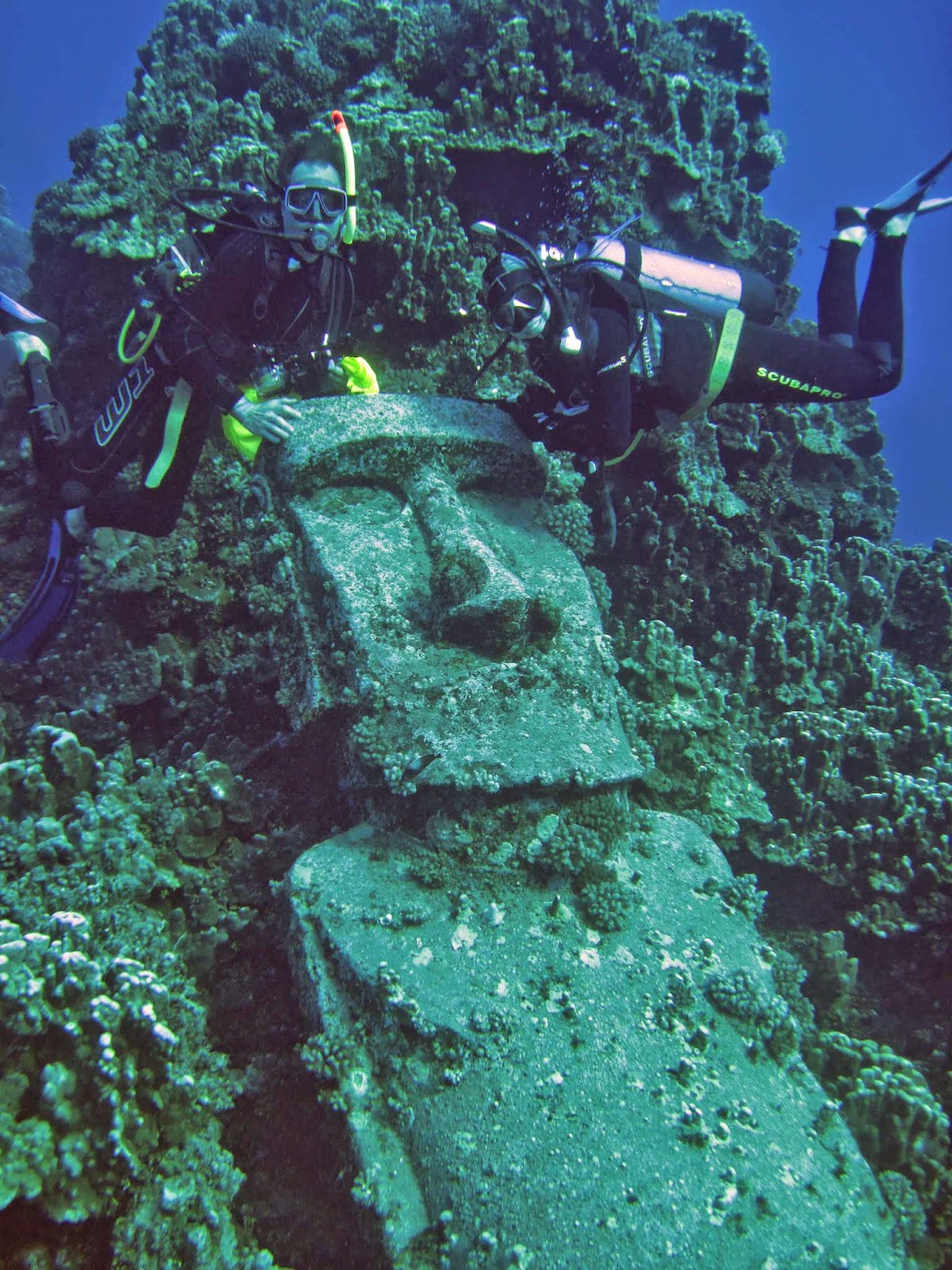 Algae Group Expeditions: A taste of Polynesia: Exploring Easter Island