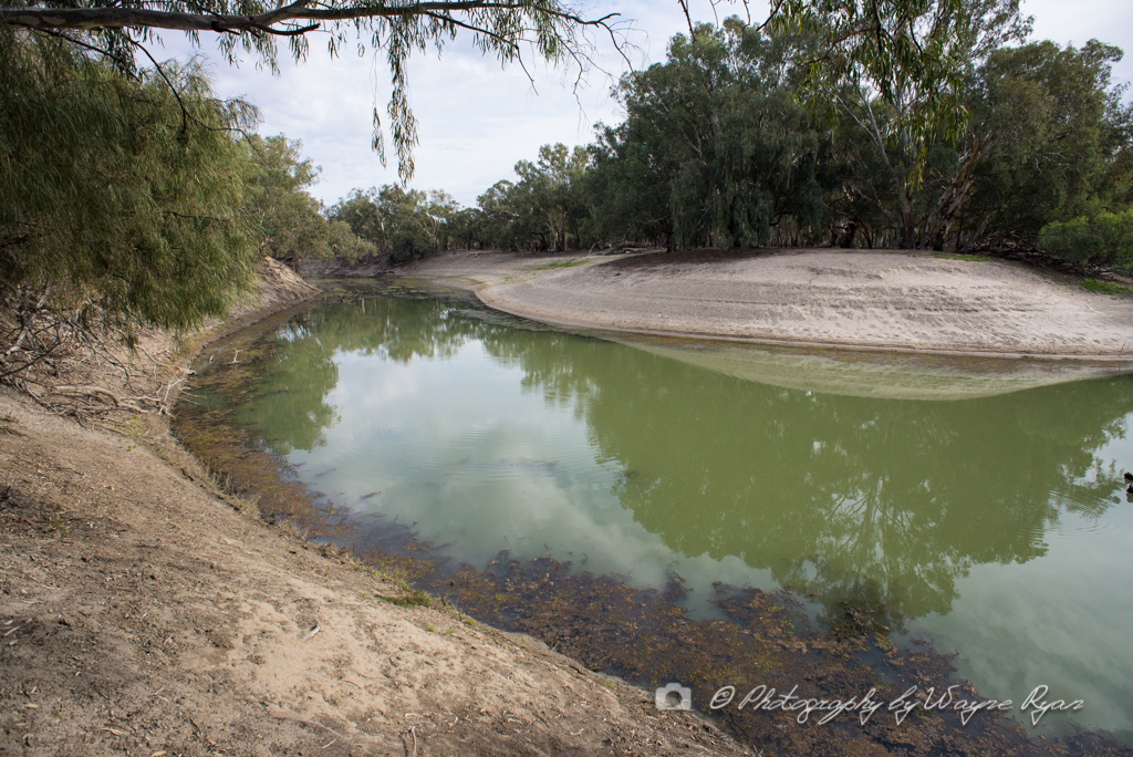Wayne Ryan's blog: The Darling River Run To Beemery Bourke NSW