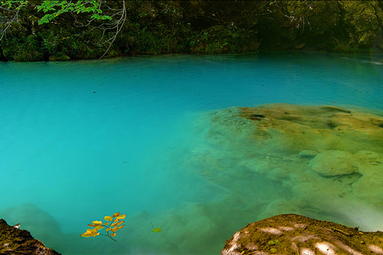 Cronicas de la Memoria Disidente