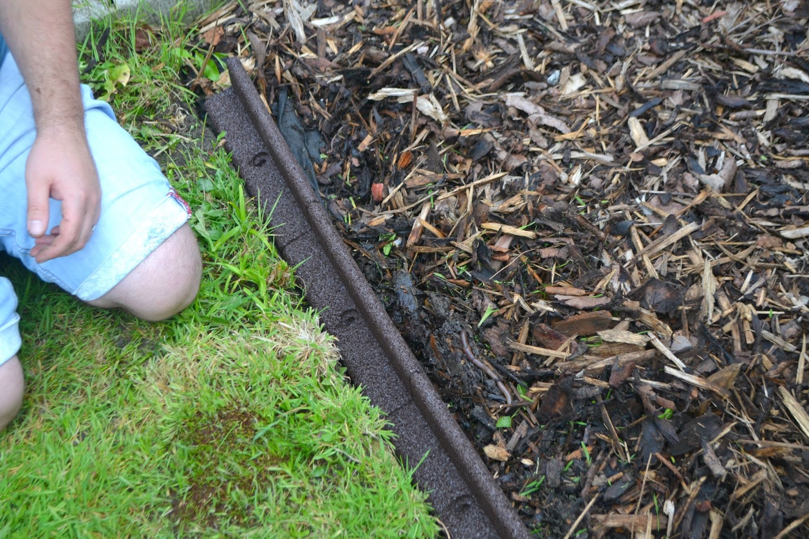 Enhance your borders with EcoBorder - Rock and Roll Pussycat