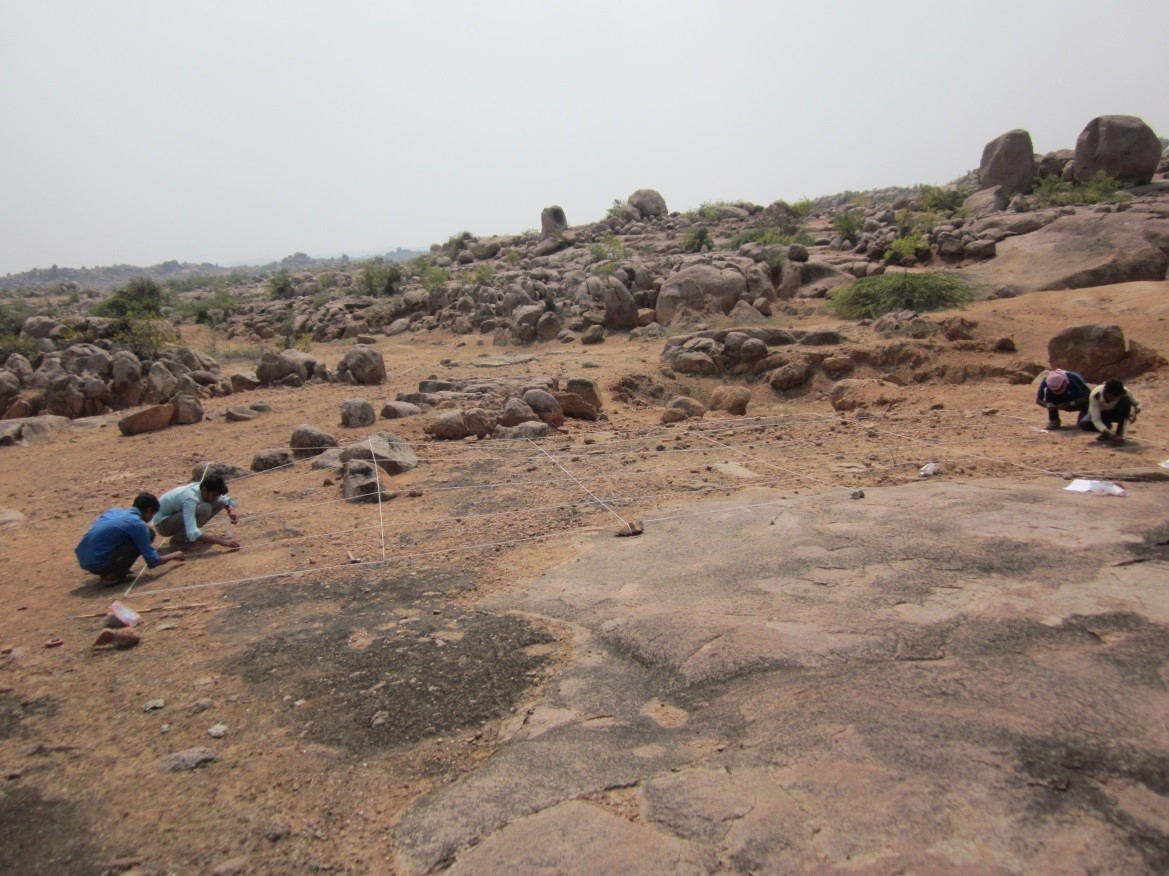 South Asian Archaeology: Prehistoric cultural landscapes of Karnataka ...