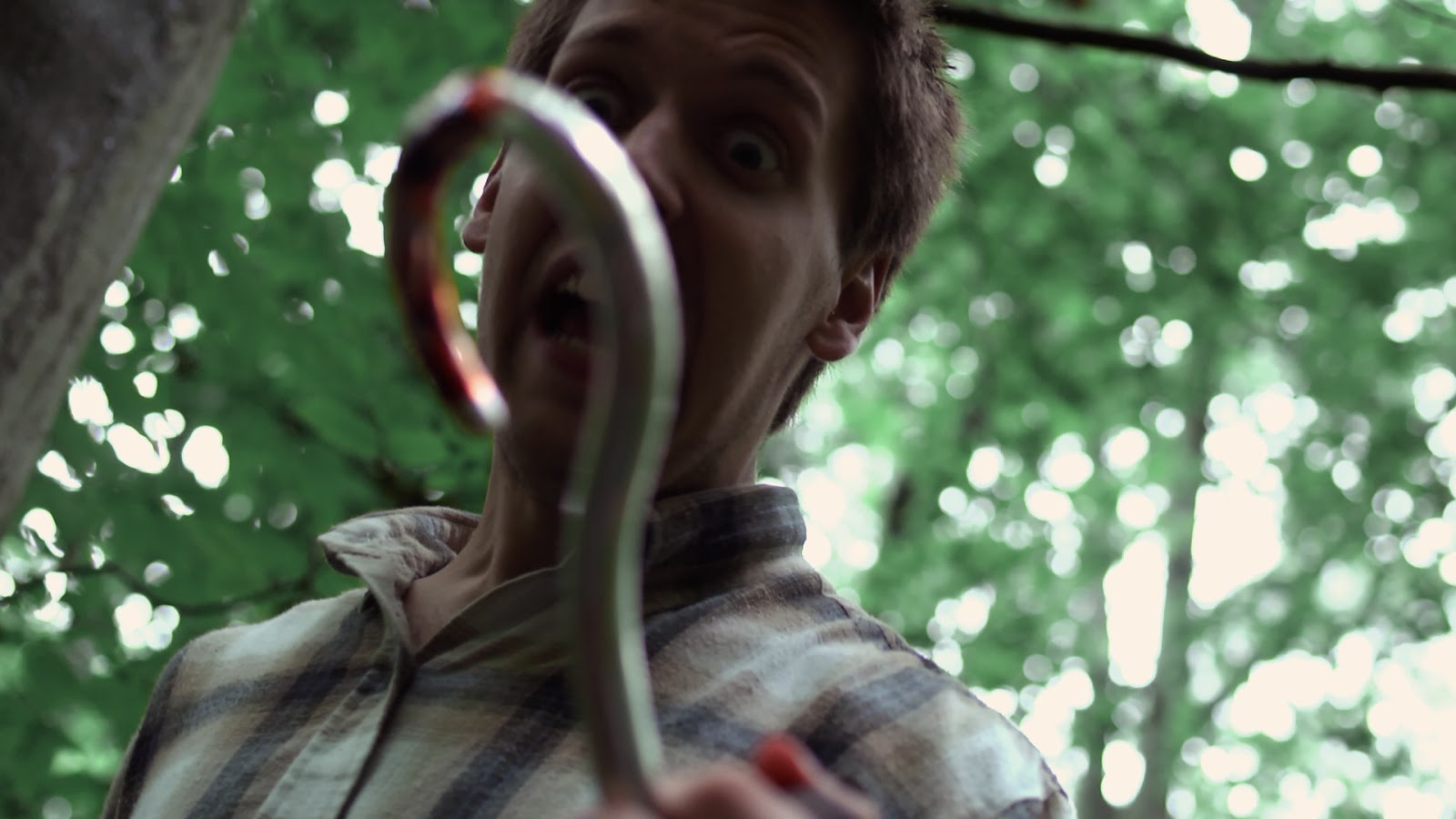 The Hookman: Redemption Blog: 2018