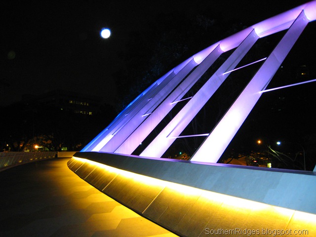 Alexandra Arch Day & Night scenes – Southern Ridges at night