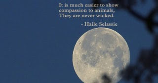 Meanderings and Reflections: Is compassion a natural trait of humans?