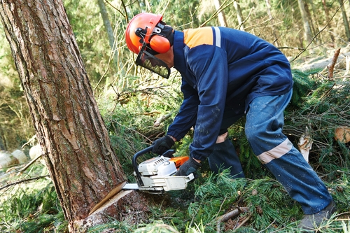ComplianceSigns CONNECTION The 3 Most Dangerous Jobs In The U S compliancesigns-connection-the-3-most-dangerous-jobs-in-the-u-s