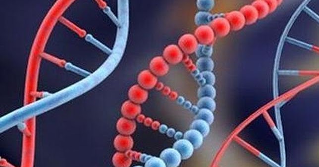 La Senda Azul: GLOSARIO DE TÉRMINOS GENÉTICOS para ACLARAR CONCEPTOS