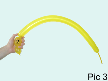 CLASSICAL: Balloon chicken