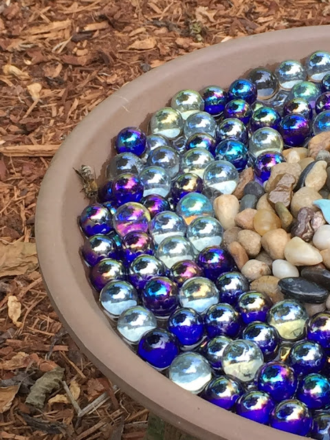 A Creative Operation: Bee Bath