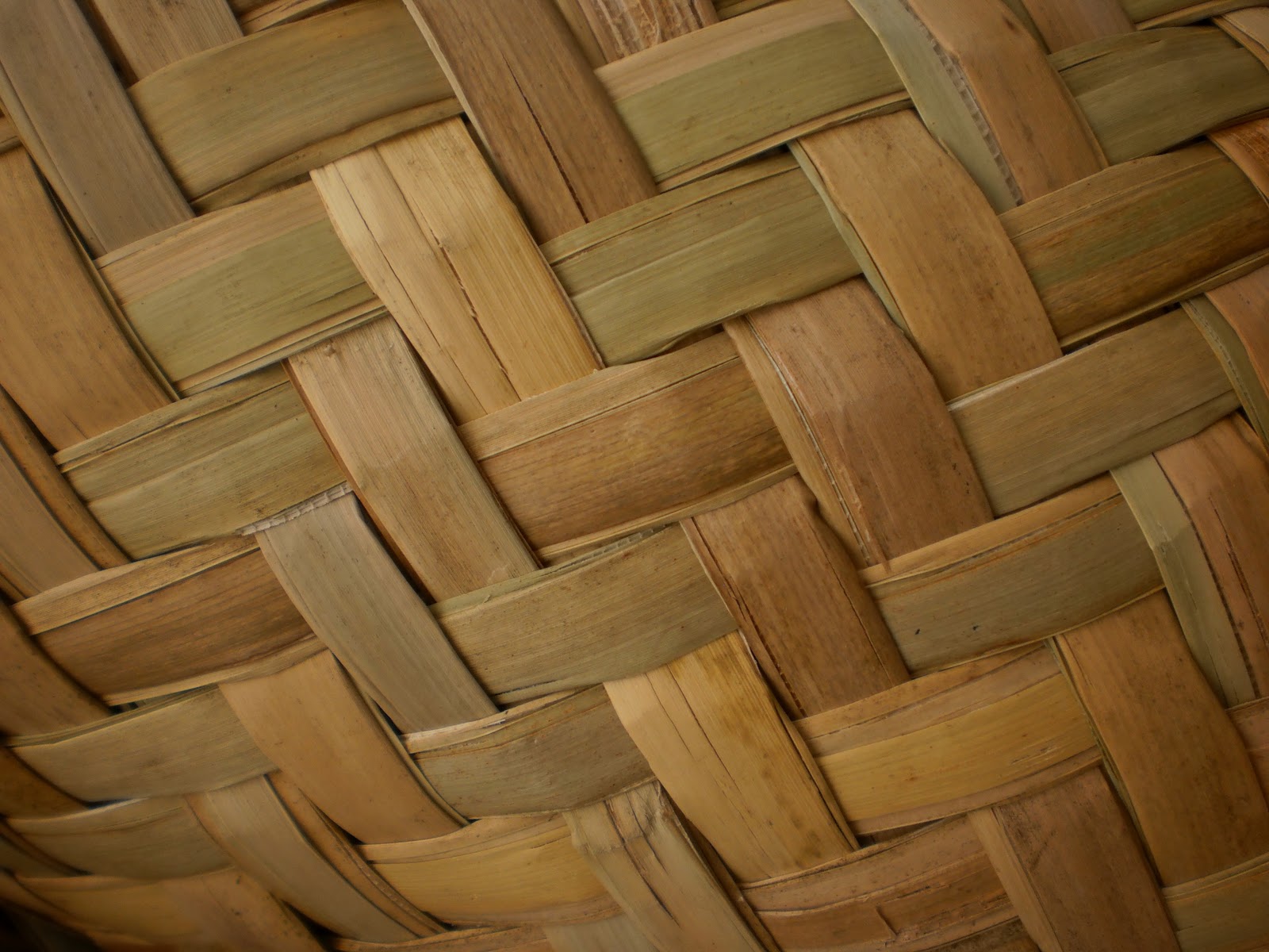 Arte, Cultura e Historia: La cestería mexicana.