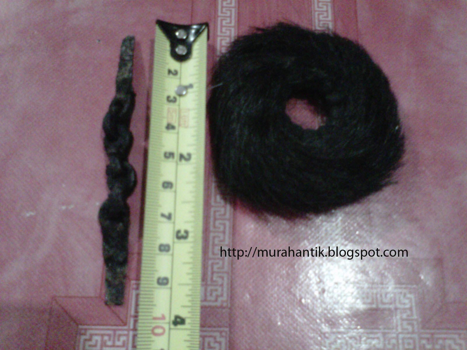 SAMBAN BABI DAN RANTAI BABI