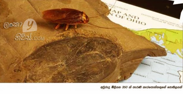 Hiru Gossip | Gossip Lanka News | Hirugossip | gossiplanka | gossip ...