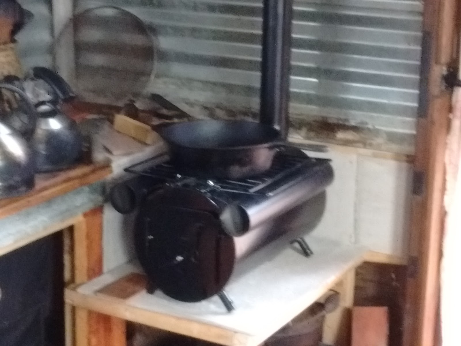 The Floating Empire: Mungo and the Tropical Rainforest