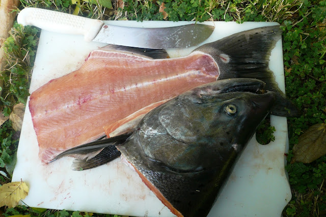 Countryman: Foraging California's Wild Side: How to Cut a Large Fish ...