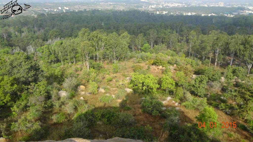 Omkar Hills and Turahalli Forest - Morning booze 04/01/2015