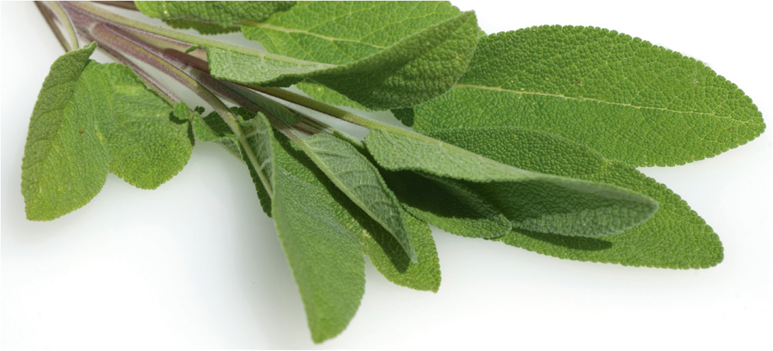 Natural & Bela: Outubro 2018