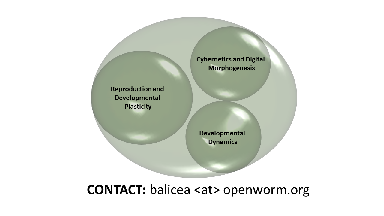 Synthetic Daisies: Using PowerPoint for Simple 3-D Rendering