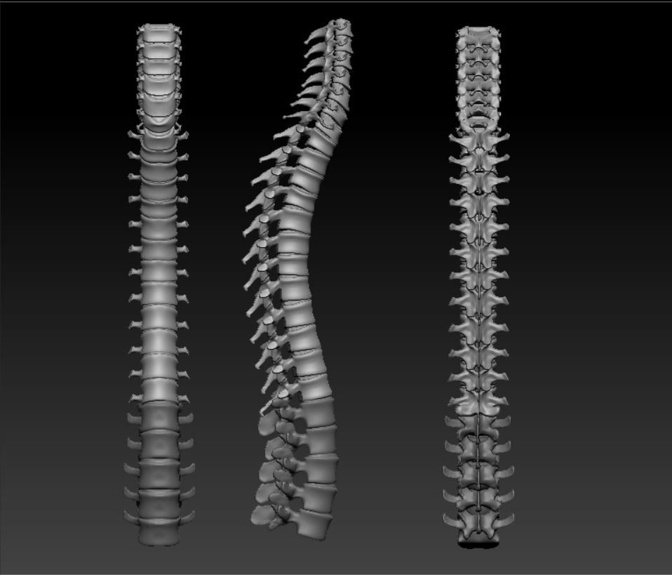 Art of Andrea Riggio: Zbrush Skeleton