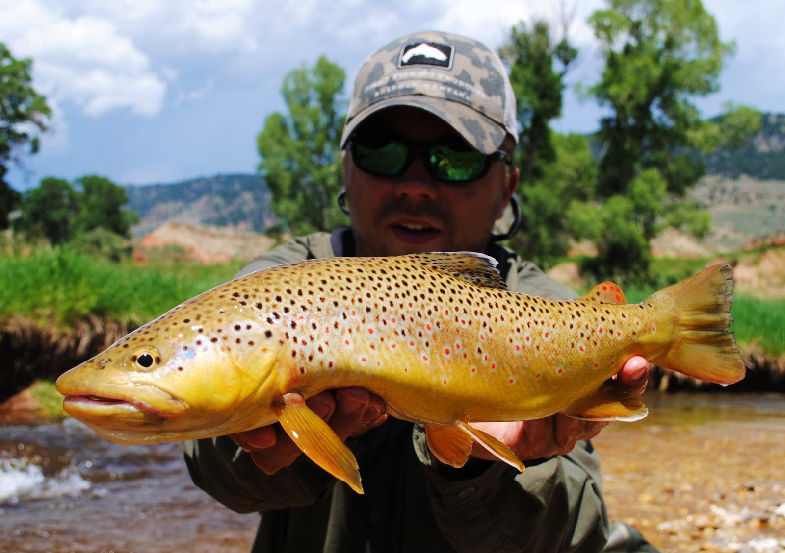 Steelhead Alley Outfitters- Lake Erie Fly Fishing Guide Service and ...