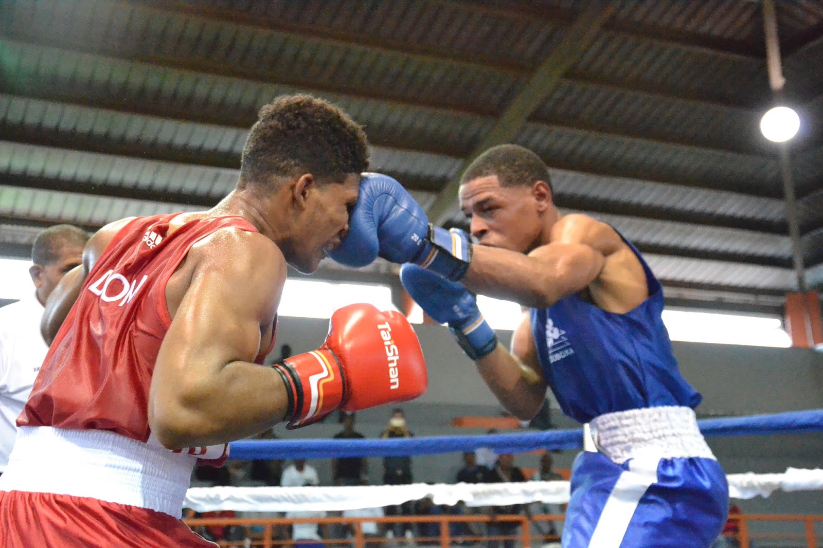 Selección A dominicana, masculina y femenina gana XXXVII Copa ...