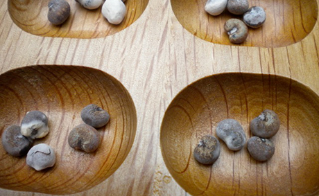 HOW TO GROW THE BAOBAB TREE FROM SEED |The Garden of Eaden