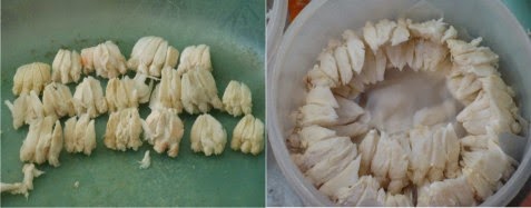 Penyuluhan Perikanan: Penanganan Daging Kepting/Rajungan