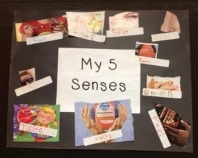 Unique Curriculum - Elementary: 5 Senses Bulletin Board
