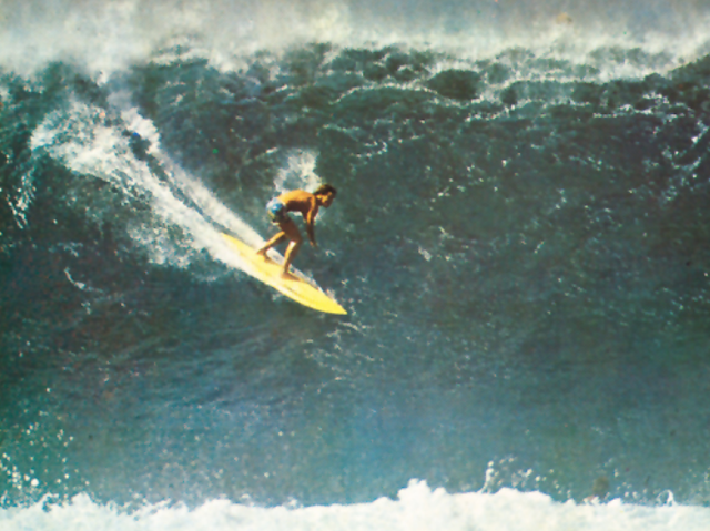 Blog do Dragão - HISTÓRIAS DO SURF: 2017