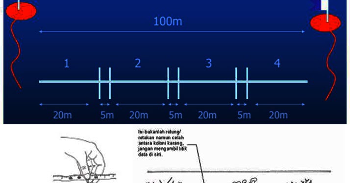 Pamacca: POINT INTERCEPT TRANSECT (PIT)