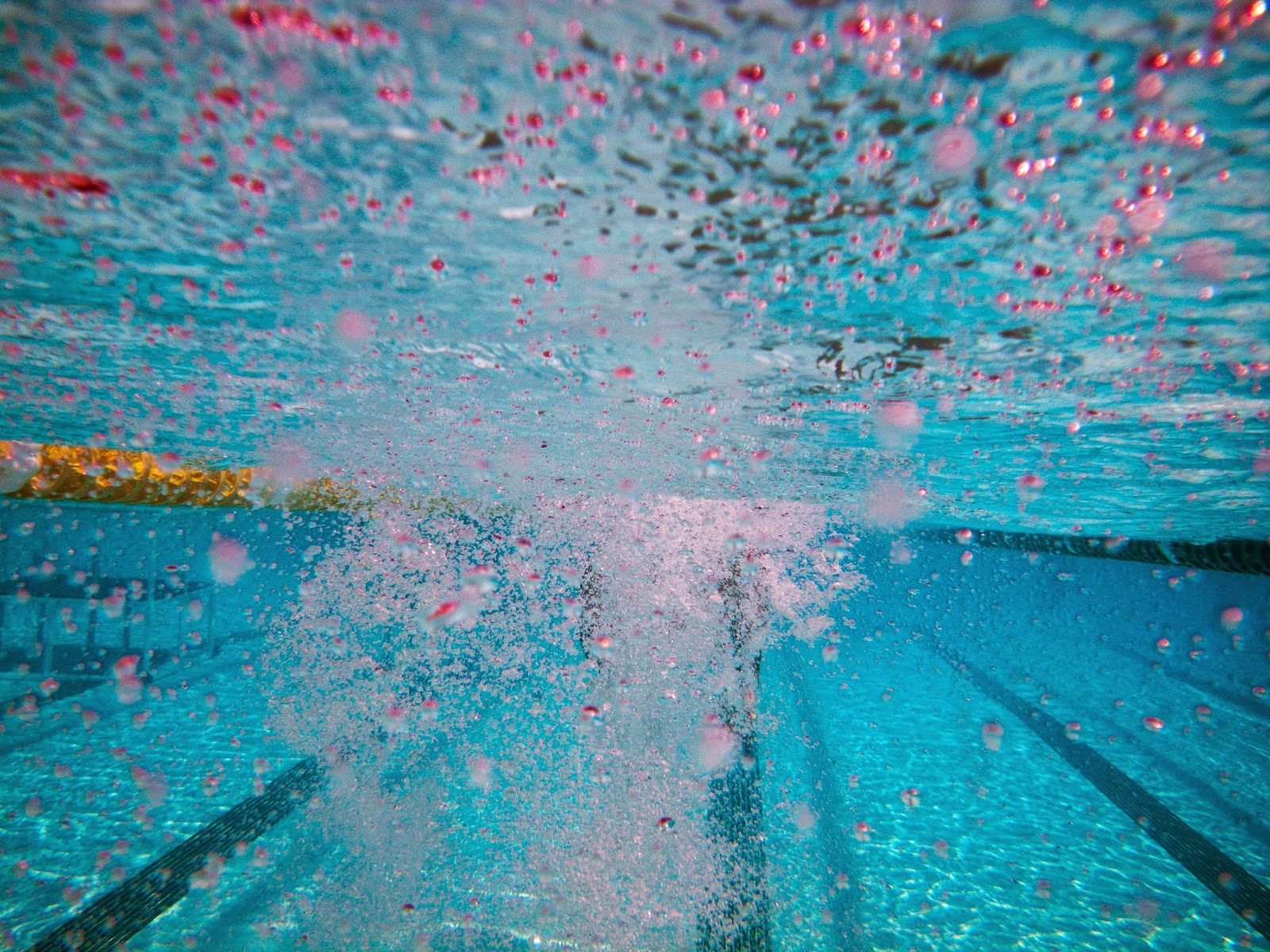 Swimming pool stories: The end of summer holidays at Petersham Pool