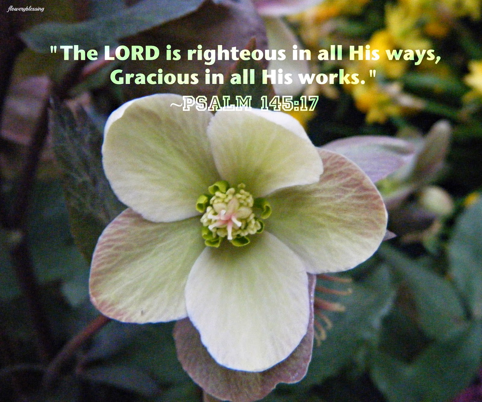 Flowery Blessing: "The LORD is righteous in all His ways, Gracious in ...