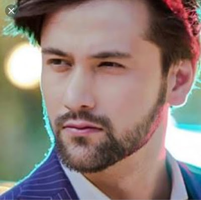 Los Ojos del Espectador: Sumit Bhardwaj actor hindu