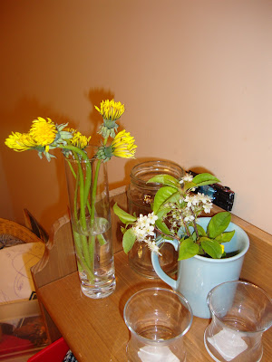 C-Section Lobotomy: Nature Table