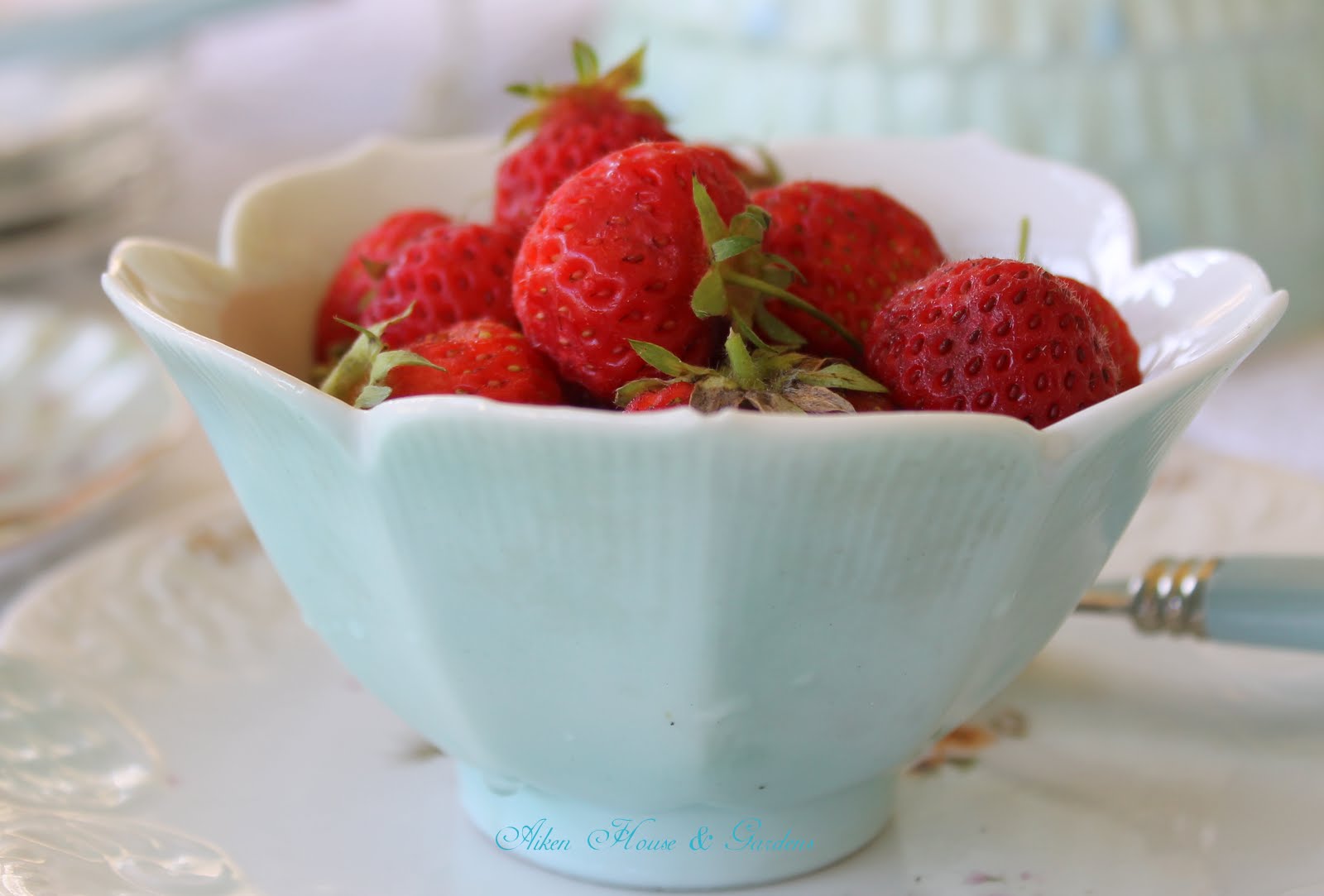 Aiken House & Gardens: Summer Afternoon Tea