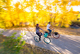 Fairfield Inn and Suites Steamboat Springs: Fairfield Inn The Base Camp ...