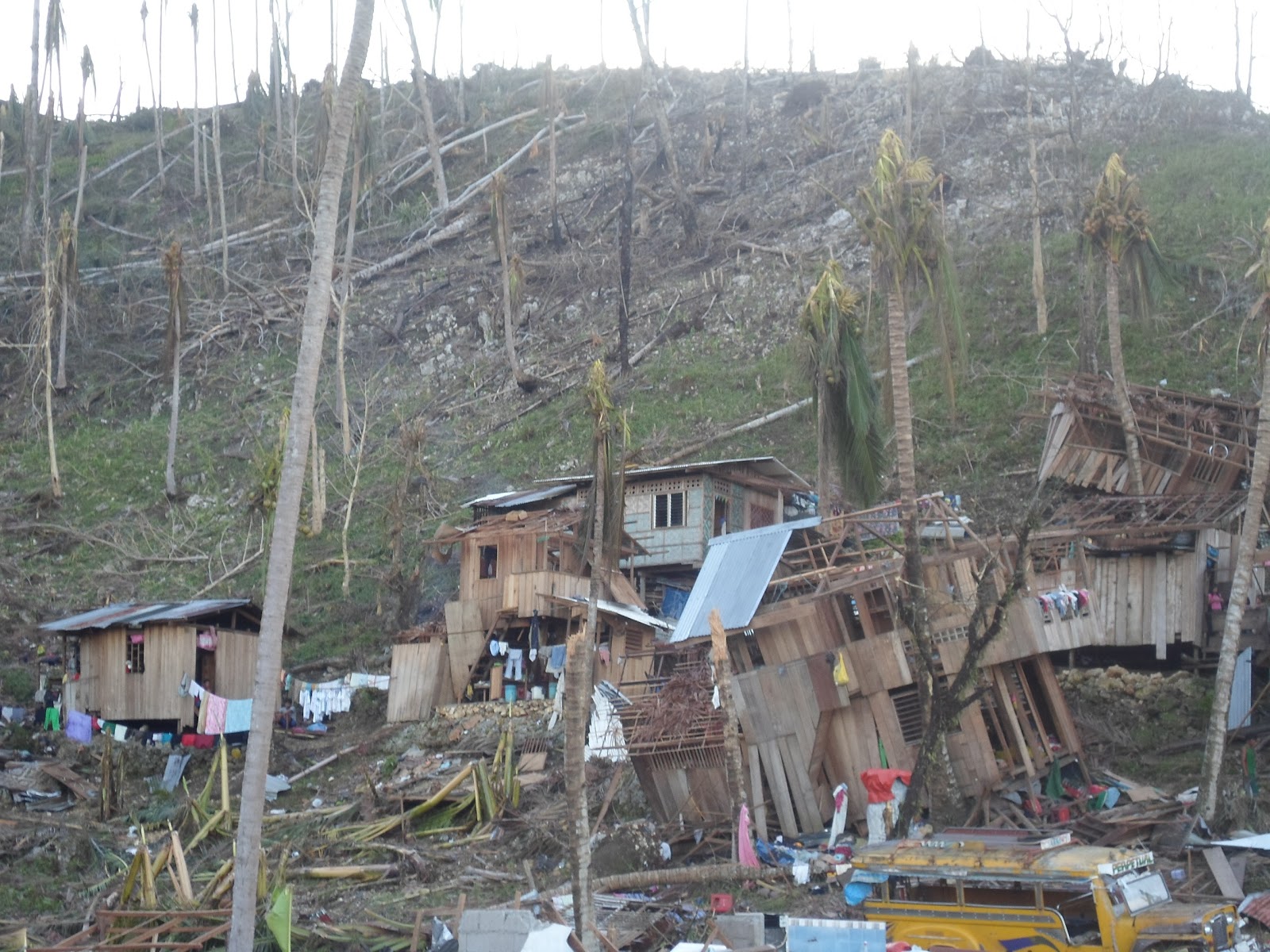 islandscoop: Super Typhoon Pablo: Its Devastating Effects