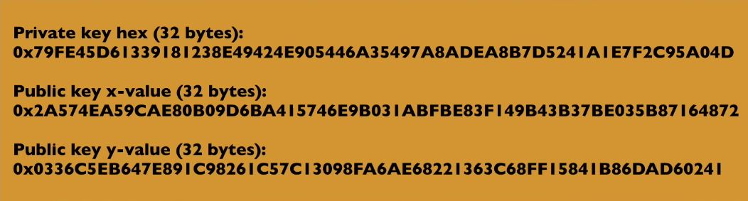 Bitcoin compressed and uncompressed addresses - New Technology