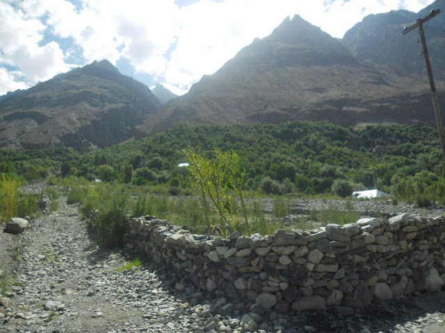 THE SNAPSHOT OF BREP