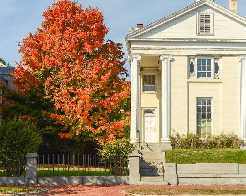 Corey Templeton Photography: Foliage at the Museum