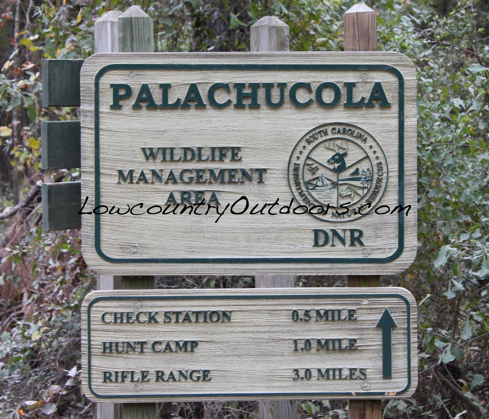 Lowcountry outdoors: 10-point buck on SCDNR draw hunt