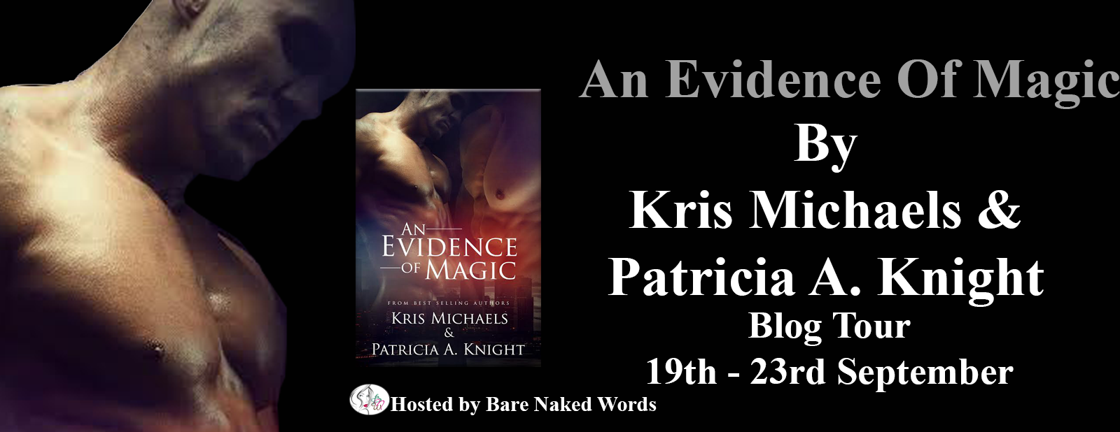 Evidence of Magic by Kris Michaels and Patricia A. Knight - Who Picked ...