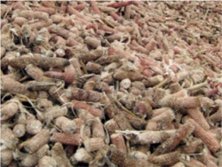 Enertech Systems Industries Inc. - Makers of High Quality and Cost ...